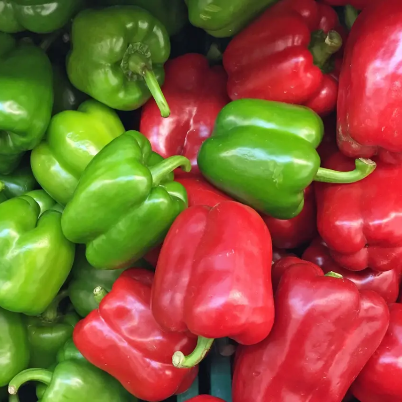 Capsicum Sweet Mama – The Heritage Nursery