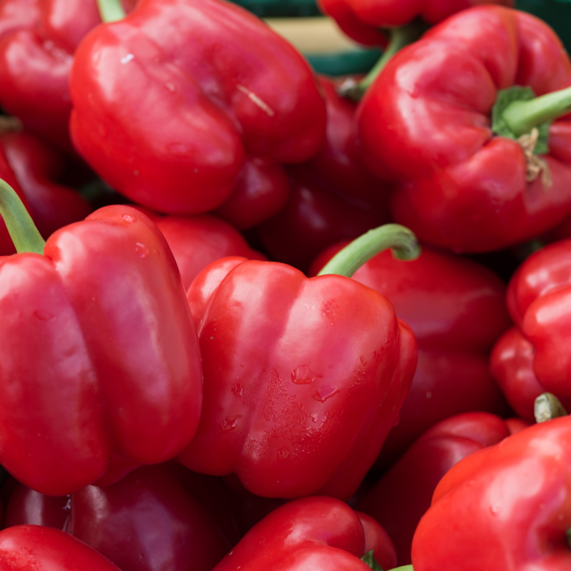 Capsicum Sweet Stuff – The Heritage Nursery