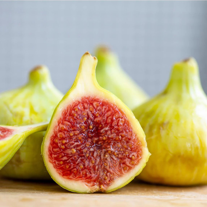 Figs – The Heritage Nursery