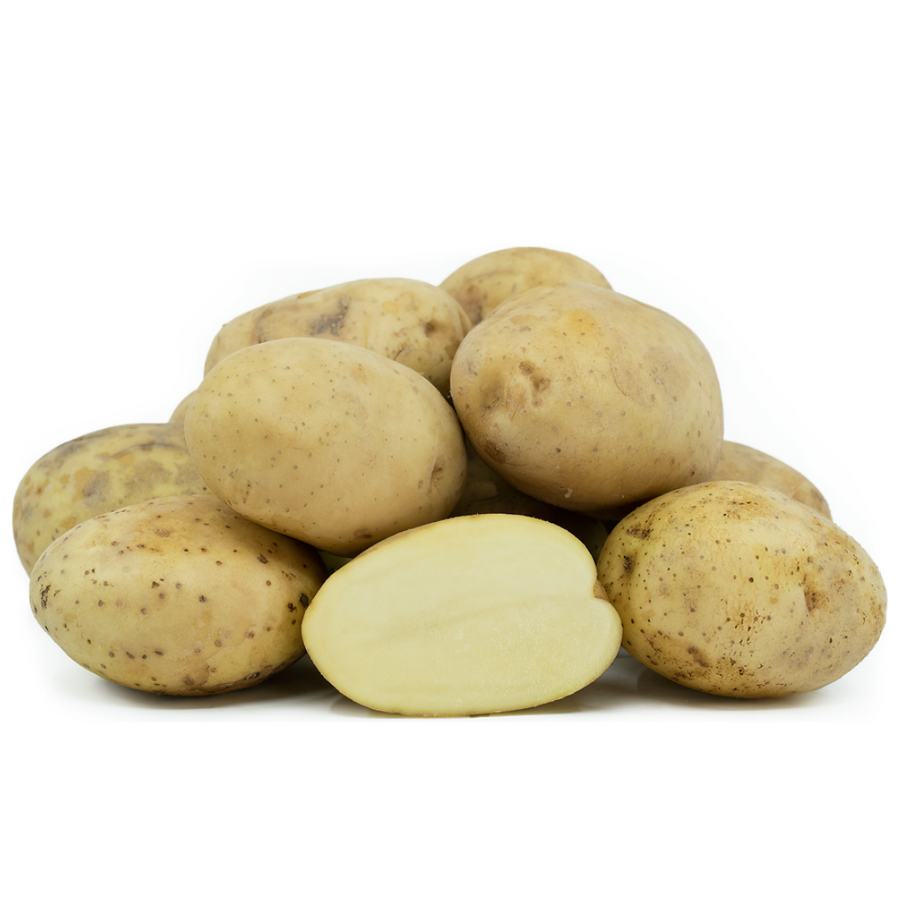 Potato Kennebec 1kg – The Heritage Nursery