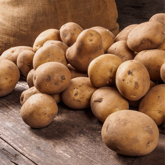 Potato Sebago 1kg – The Heritage Nursery