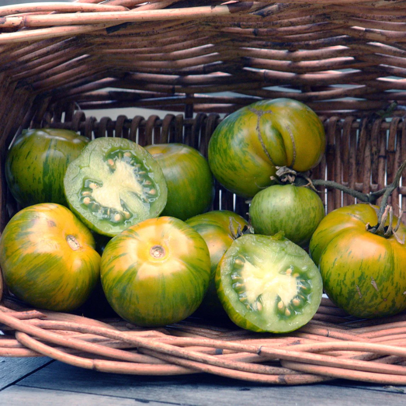Tomato Heirloom Green Zebra – The Heritage Nursery